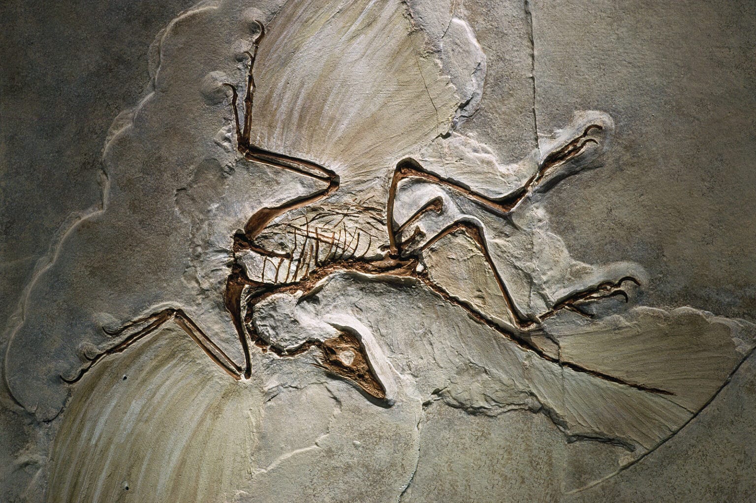 Famous Fossil Sites Around the World: Unearthing the Story of Life on Earth