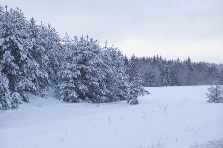 Europe Could Freeze as Atlantic Current Nears Collapse