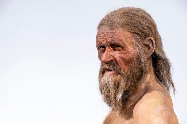 Ötzi Was Not Alone Discover the Genetic Mysteries of His Ancient Neighbors