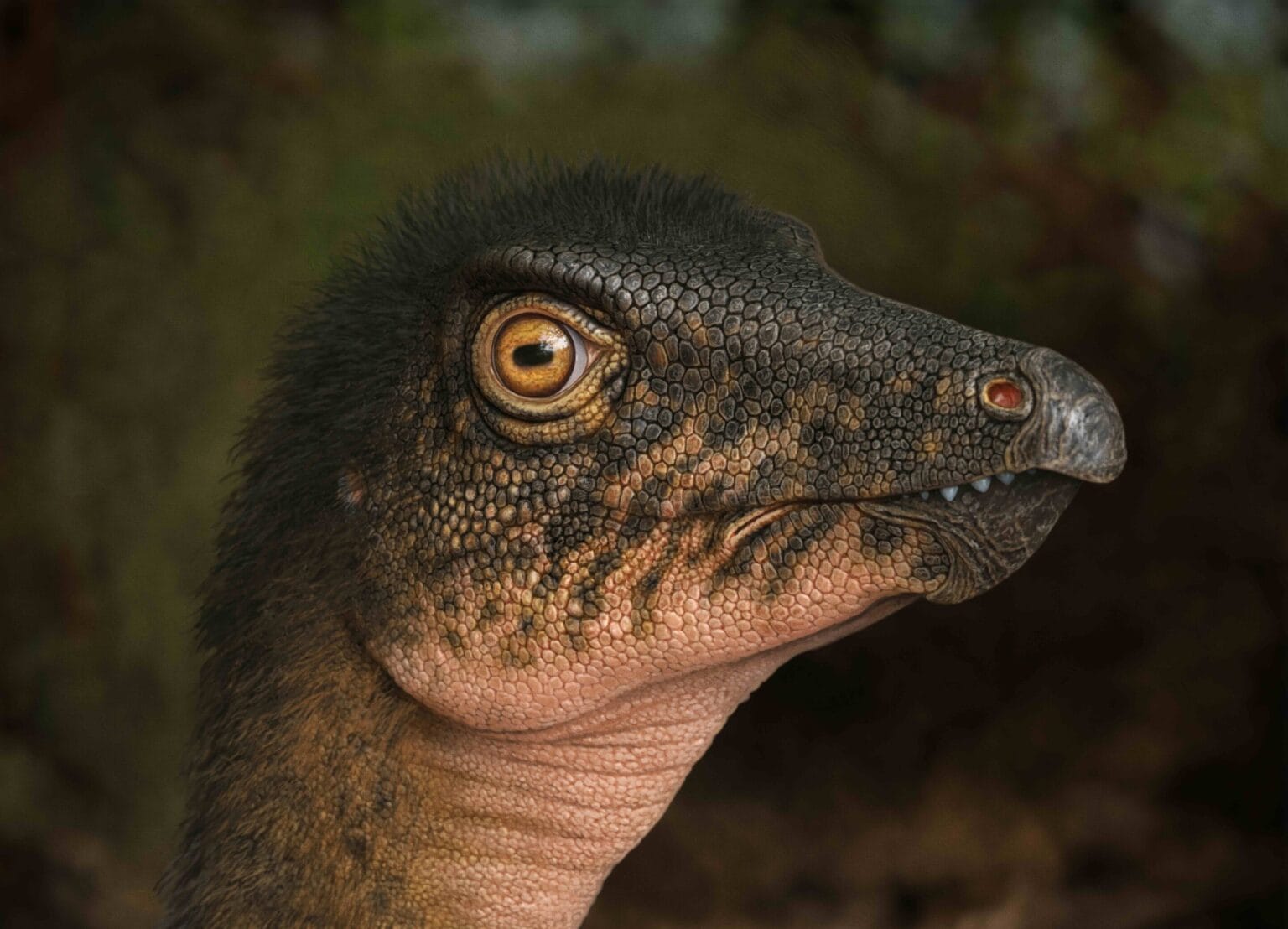 Buried Secrets Unearthed as Dinosaur Fossil Found Deep Below Denver