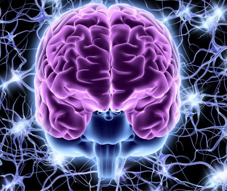 The Neuroscience of Happiness: How to Hack Your Brain