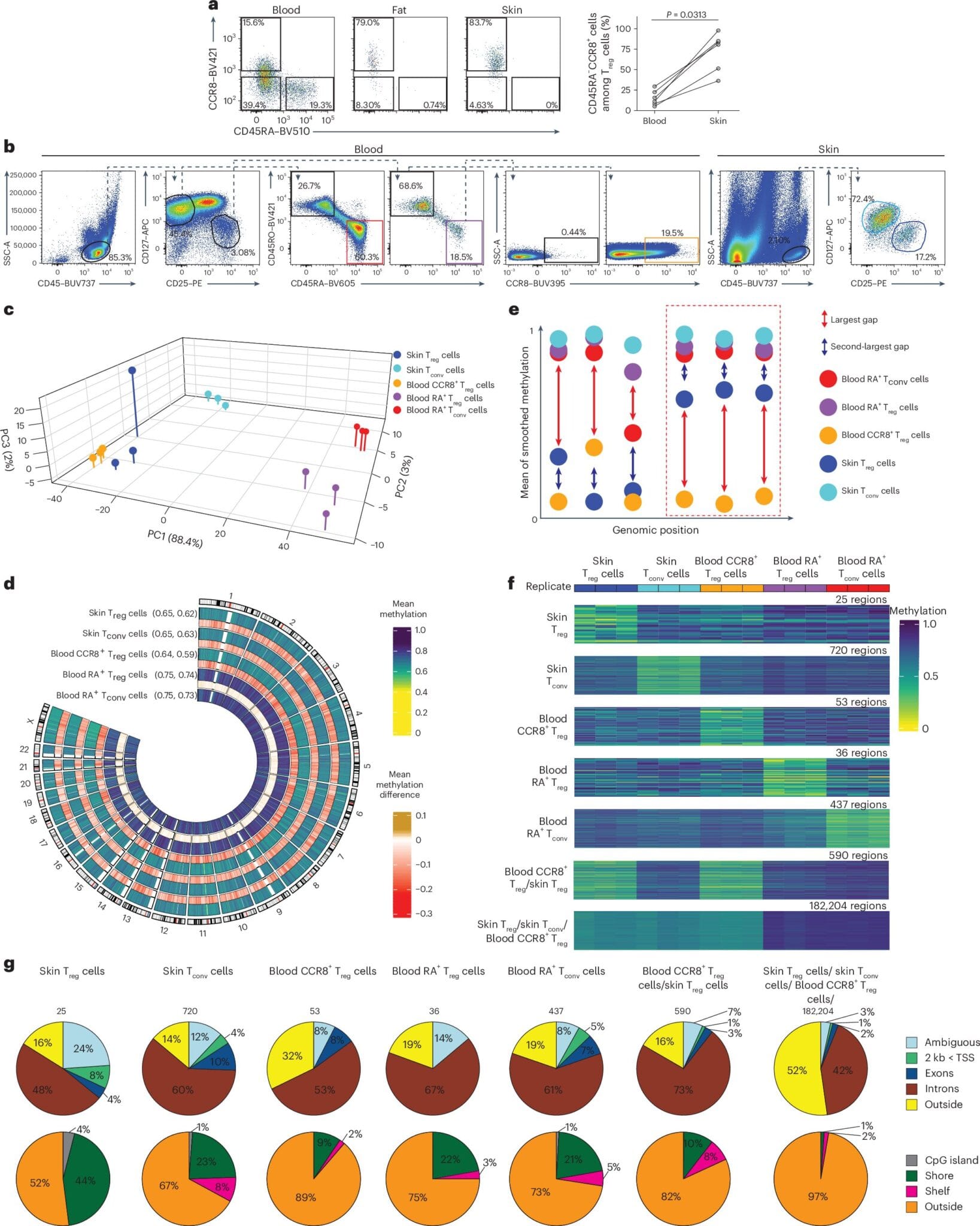 The Immune Cells That Heal You From the Inside Out
