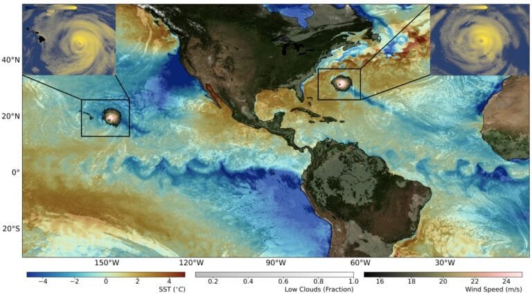 How Earth’s Ecosystems Evolved Over Millions of Years