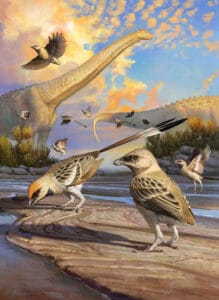 The Incredible Evolutionary Journey of Modern Birds