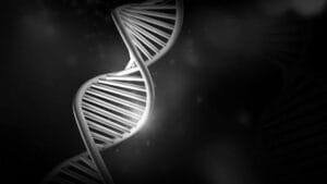 The Role of DNA in Animal Evolution and Survival