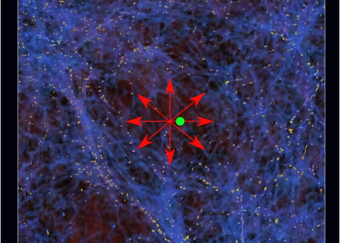 How Space Affects the Human Body