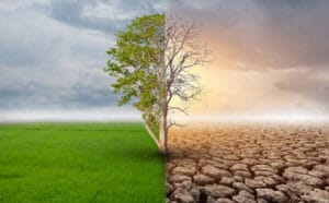 Understanding Climate Change: Causes, Impacts, and Potential Solutions