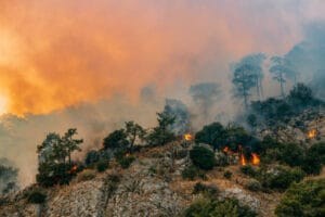 How Climate Change Is Reshaping Our Planet in Real Time