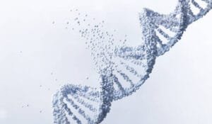 Decoding Our DNA: The Blueprint of Life Explained
