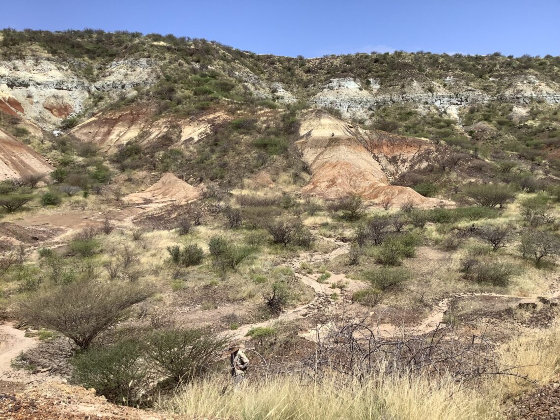 The Lost Giant with a Mace: Uncovering Ruopodosaurus clava in the ...