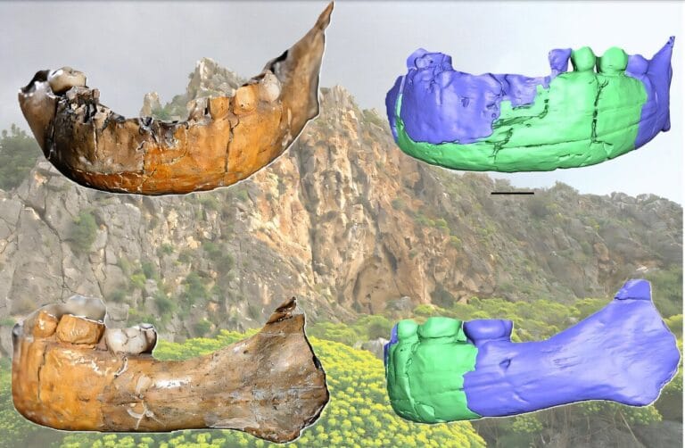 The Fall of the Aztecs: Conquest by the Spanish