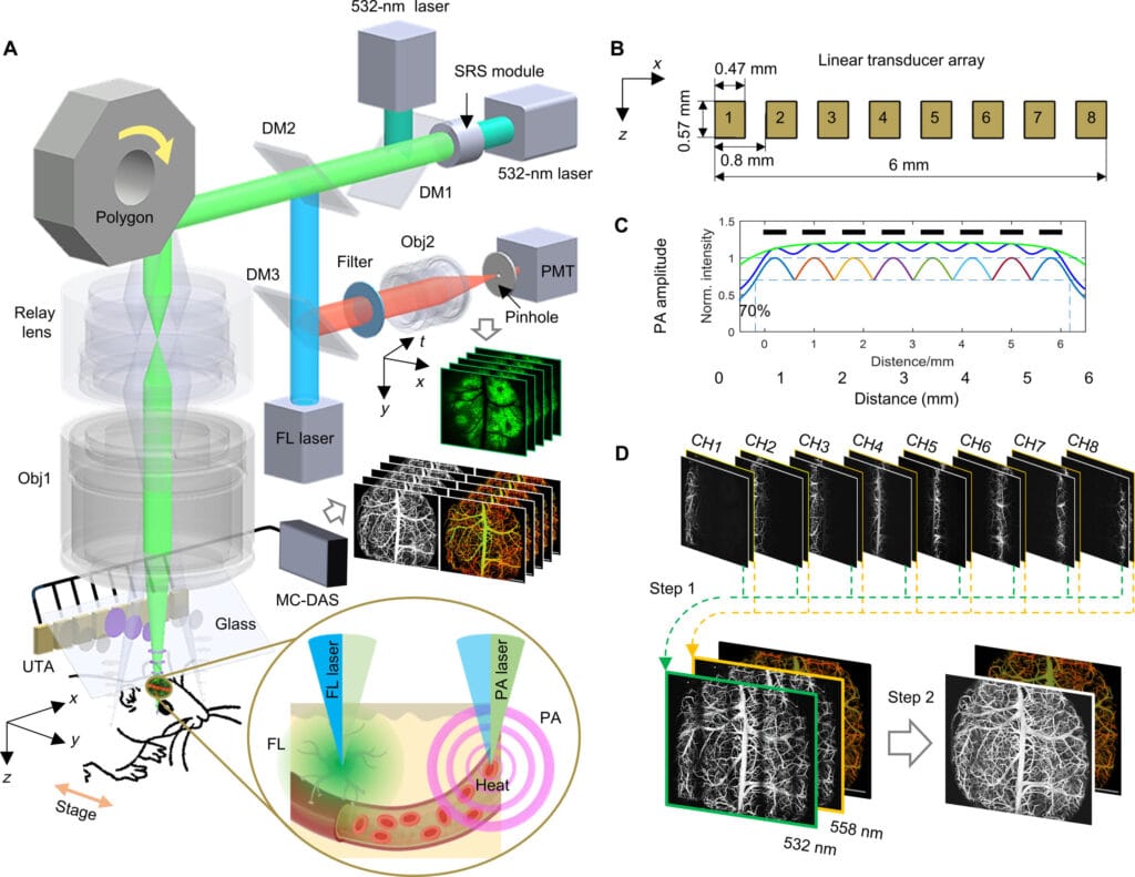 This New Microscope Lets Us Watch the Brain Think in Real Time