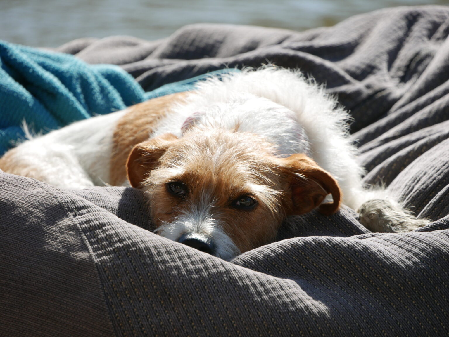 What Makes You ‘You’? The Psychology of Identity