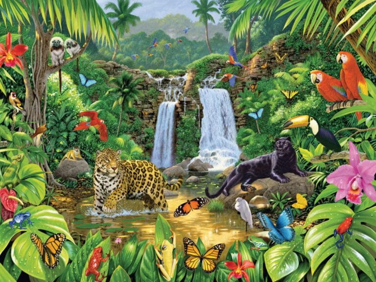 The Most Diverse Ecosystems on Earth and the Animals Within Them
