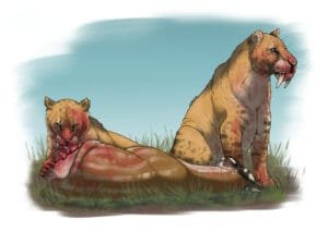 Predators and Prey Waged an Ancient Battle That Doomed Saber-Toothed Tigers