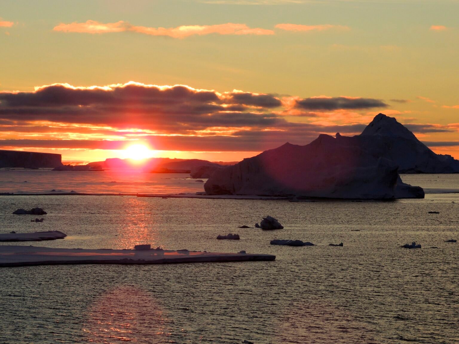 Are Insects Going Extinct? What the Latest Trend in Search Means for ...