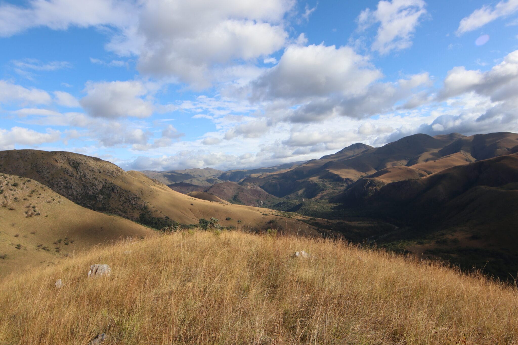 The Unusual Cranial Elongation Practices in Ancient Peru
