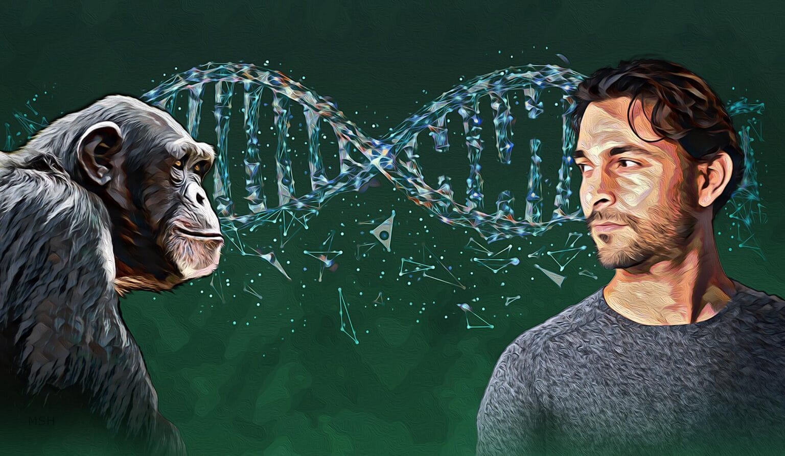 The Genetic Link Between Humans and Primates Explained