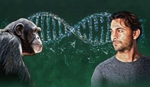 The Genetic Link Between Humans and Primates Explained