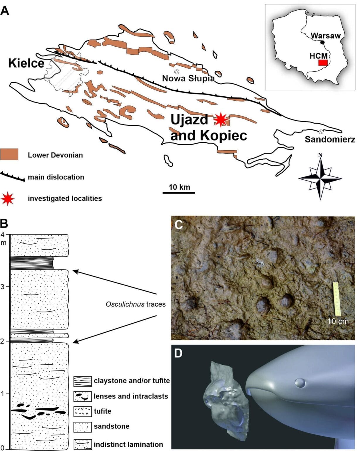 When Fish First Dared to Walk on Land Ten Million Years Earlier Than We ...