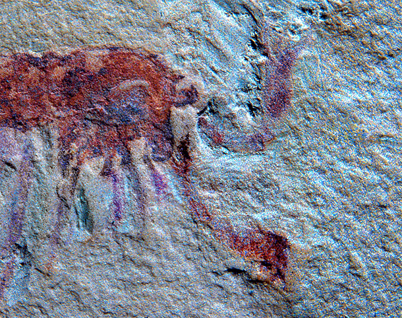 The Tiny Fossil That Changed Everything We Know About Life on Earth