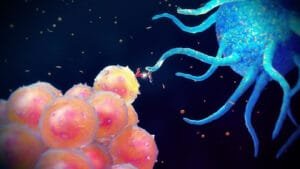 How the Immune System Detects Invaders