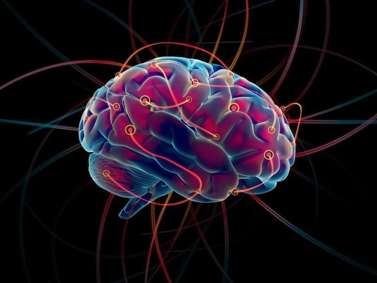 The Brain's Internal GPS: How We Navigate Our World