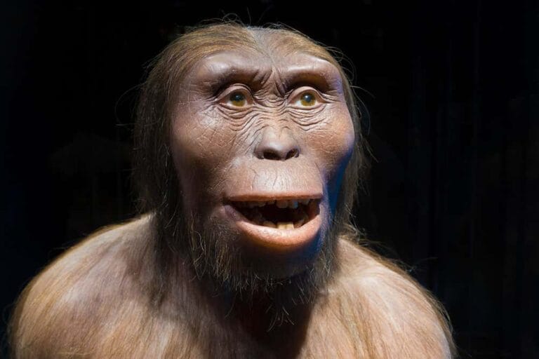 Ancient Humans Ate the Impossible and Changed Evolution Forever