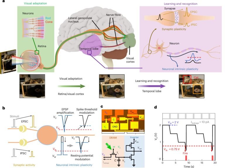 The Brain-Inspired Technology That Could Revolutionize AI Forever