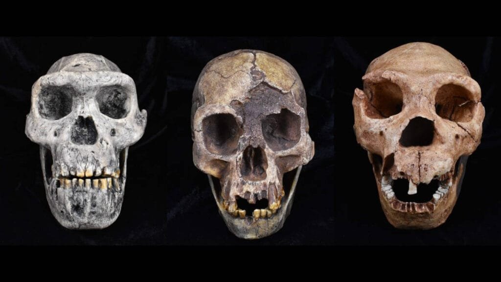 Evolutionary Discoveries That Changed History