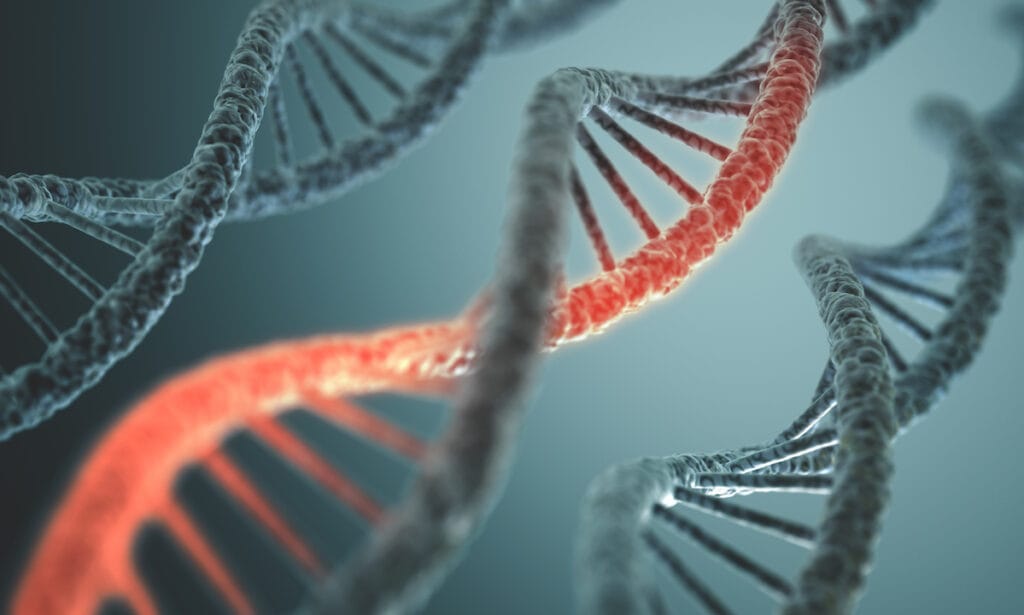 What Is a Genetic Mutation and Why Does It Matter?