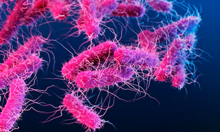 How Antibiotics Work to Kill Bacteria