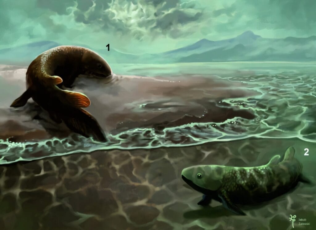 When Fish First Dared to Walk on Land Ten Million Years Earlier Than We ...