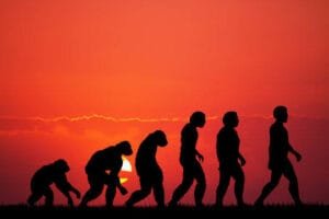 What the Future of Human Evolution Might Look Like