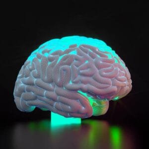 How to Heal the Traumatized Brain: A Journey from Shattered Survival to ...