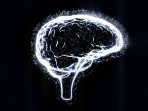 Scientists Discover the Switch That May Control Brain Decay