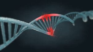 How Cells Repair DNA Damage