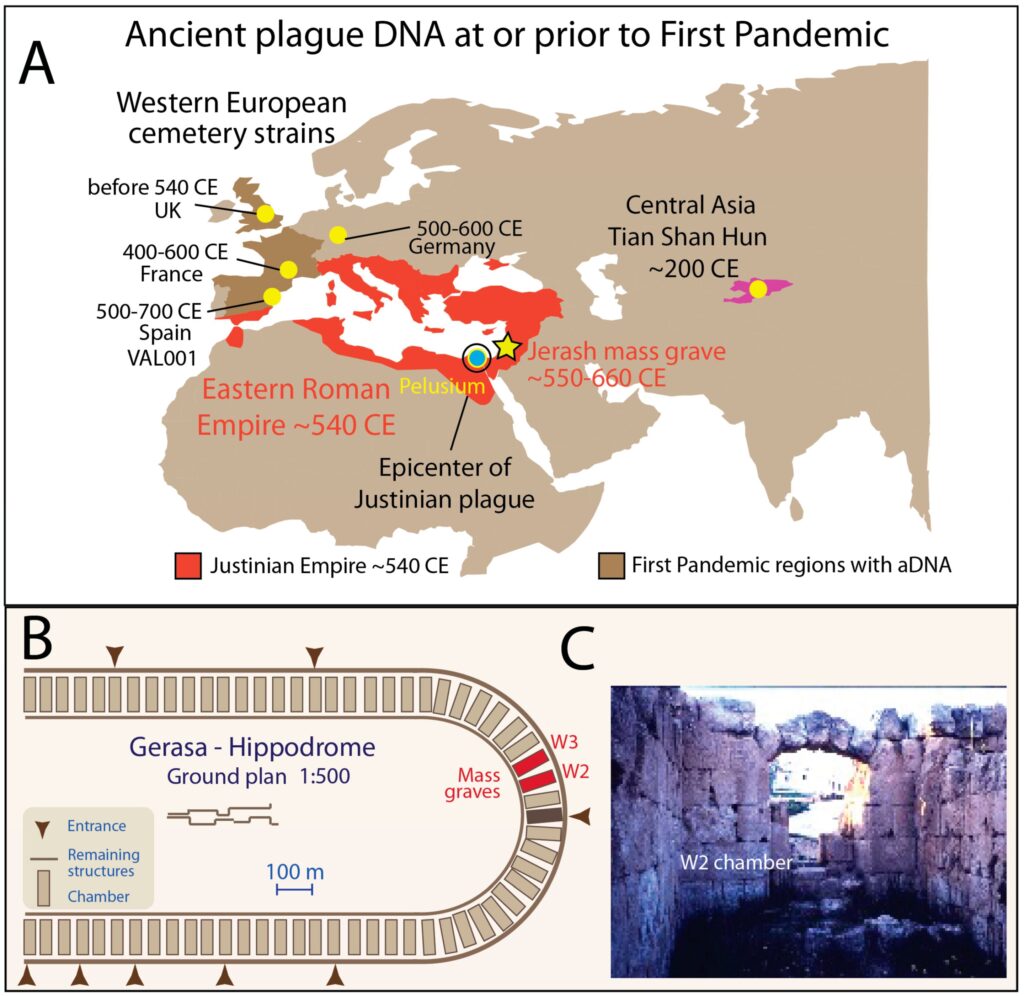 Lost for Fifteen Centuries the True Cause of the Justinian Plague ...