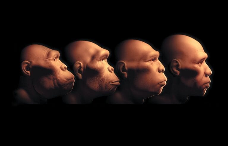 The Science Behind Evolutionary Theory