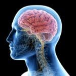 The Link Between Autoimmune Diseases and Women’s Health