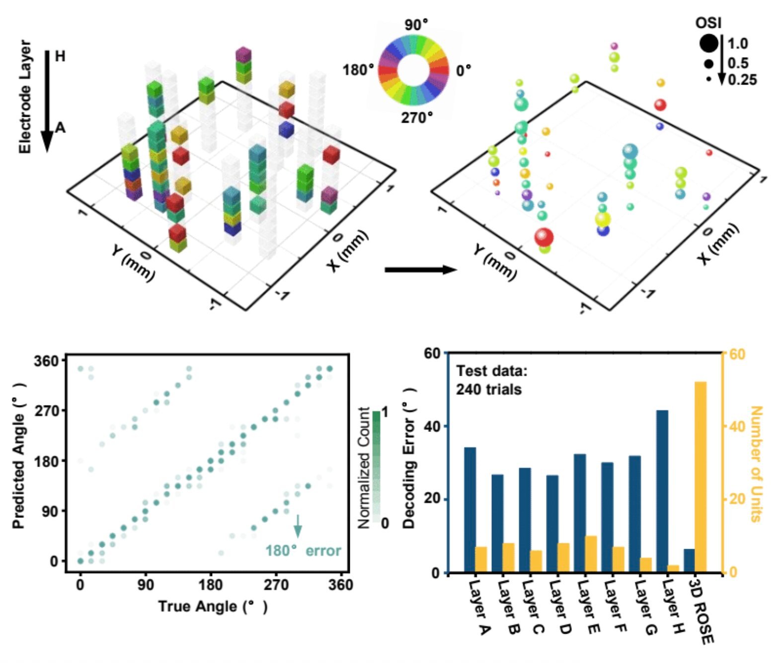 New 3D Brain Probes Could Restore Movement and Vision—Here’s How They Work