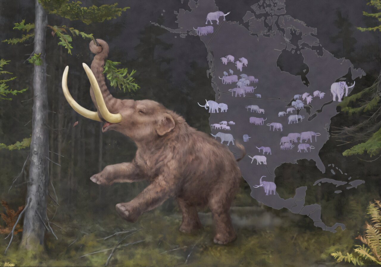 Ancient DNA Reveals Ice Age Mastodons Were World Travelers With Hidden ...