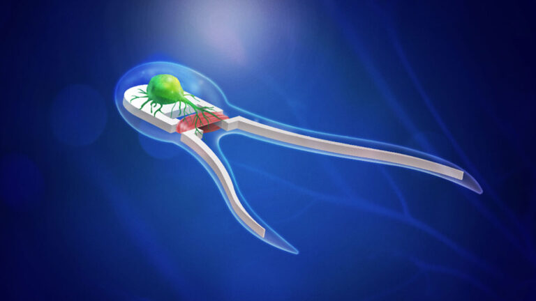 Biohybrid Robots: Living Cells Meet Machine Intelligence