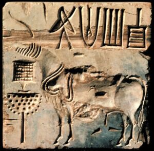 The Undeciphered Symbols of the Indus Valley Civilization