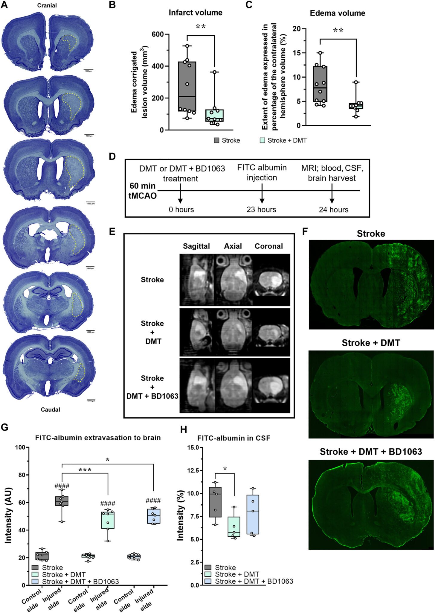Scientists Discover Psychedelic Compound That Could Heal the Brain ...
