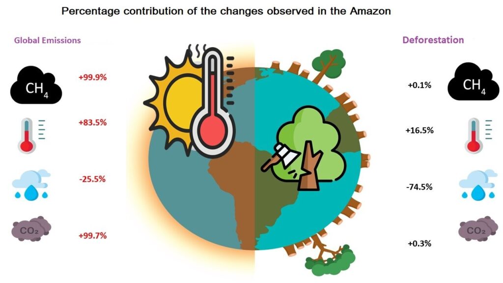 Amazon Rainfall Is Vanishing — 74% of It Lost to Deforestation, Study ...