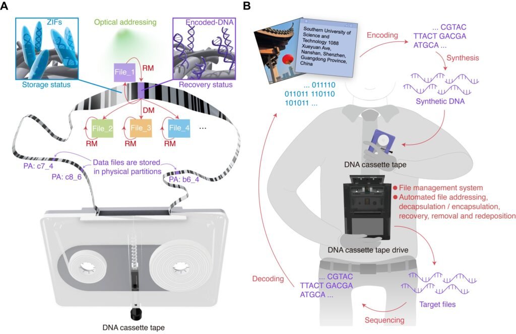 Your Entire Digital Life Could Soon Fit Inside a Speck of DNA