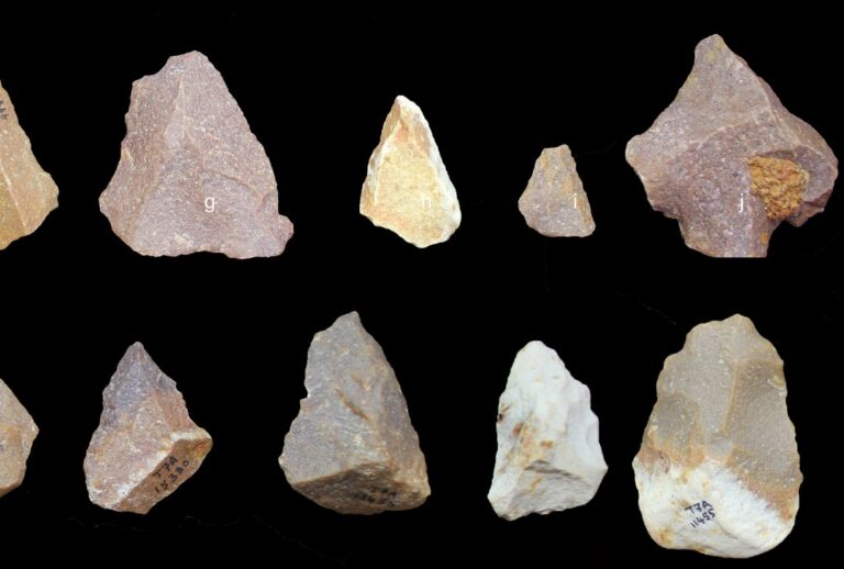 Stone Tools That Changed Human History