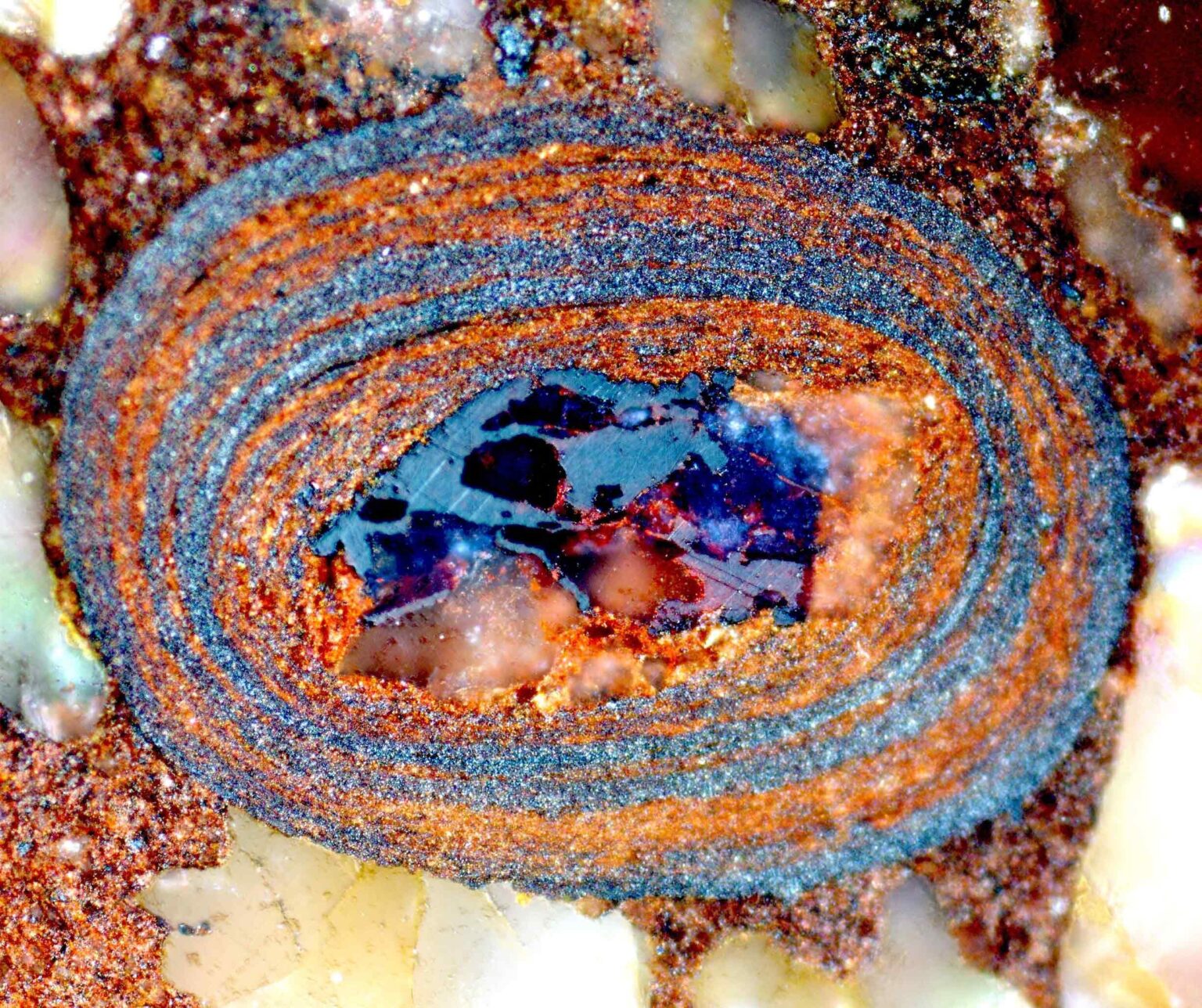 Scientists Crack Billion-Year-Old Mystery Hidden in Tiny Ocean Stones