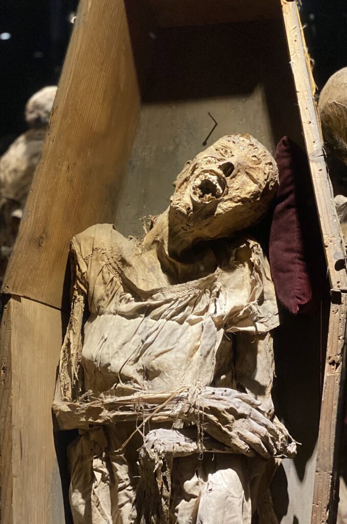What is a Mummy? Exploring the Science and Mystery of Preserved Bodies
